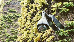 11 Clever Ways to Deter Burglars that Actually Work - DailyHomeSafety