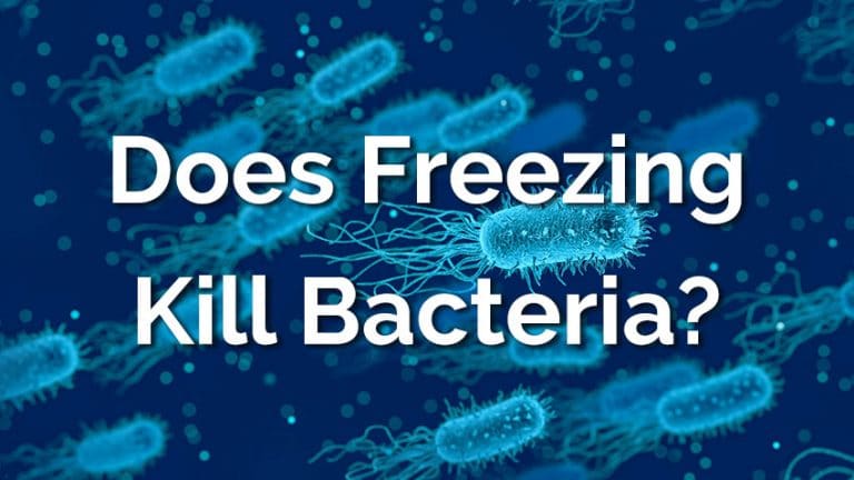 Does Freezing Really Kill Bacteria? - What the Science Says ...