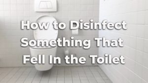 5 Best Ways to Disinfect Something That Fell In The Toilet ...