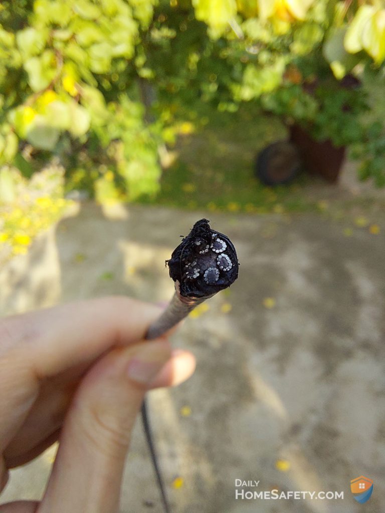 11 Simple Ways to Cut Wire Without a Wire Cutter (Illustrated ...